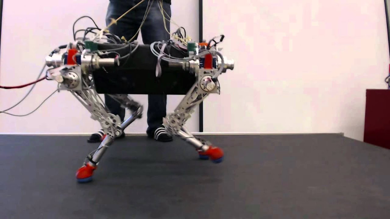 StarlETH, il Cane Robot che cammina, corre e si arrampica StarlETH, il Cane Robot che cammina, corre e si arrampica